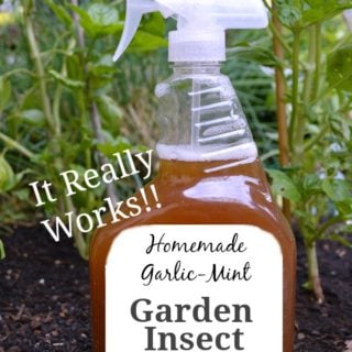 Natural Insect Spray For Plants (A DIY That Really Works!!) - An Oregon ...