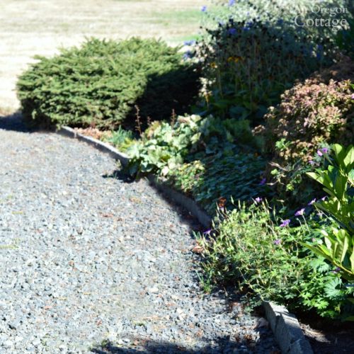 Easy Inexpensive Cement Garden Edging for Beds & Paths - An Oregon Cottage