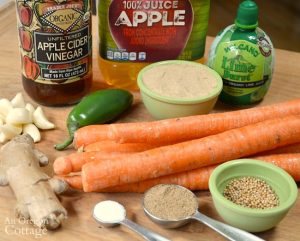 Hot & Sweet Carrot Relish Freezer Preserves - An Oregon Cottage