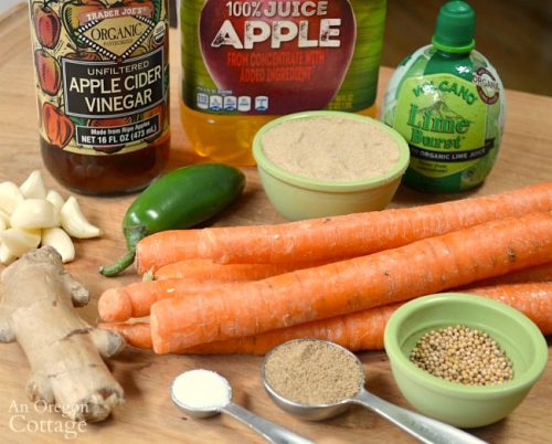 Hot & Sweet Carrot Relish Freezer Preserves - An Oregon Cottage