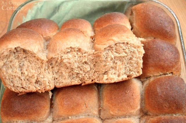 Soft 100% Whole Wheat Dinner Rolls - An Oregon Cottage