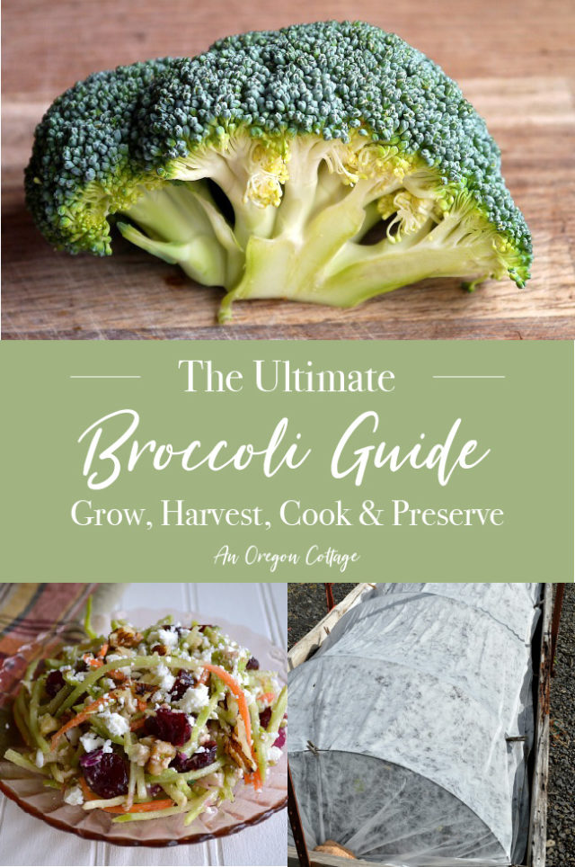 Ultimate Broccoli Guide: Grow, Harvest, Cook & Preserve (with 25 ...