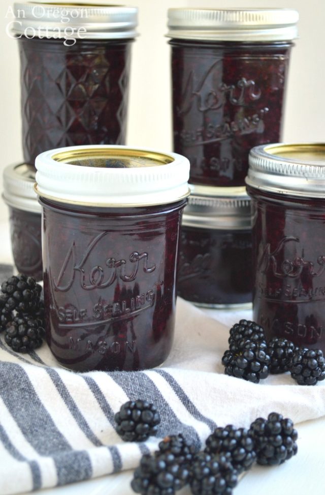 3 Ingredient Maple Blackberry Jam Recipe (Can or Freeze) - An Oregon ...