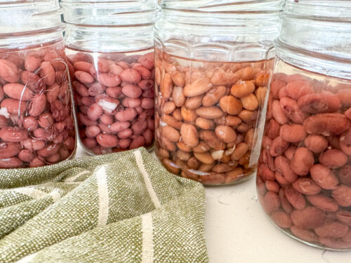 Can You Freeze Cooked Beans? Easy Step-by-Step Guide to Cooking and ...