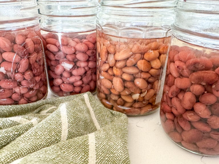 Can You Freeze Cooked Beans? Easy Step-by-Step Guide to Cooking and ...