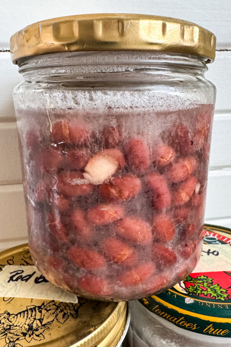 Can You Freeze Cooked Beans? Easy Step-by-Step Guide to Cooking and ...