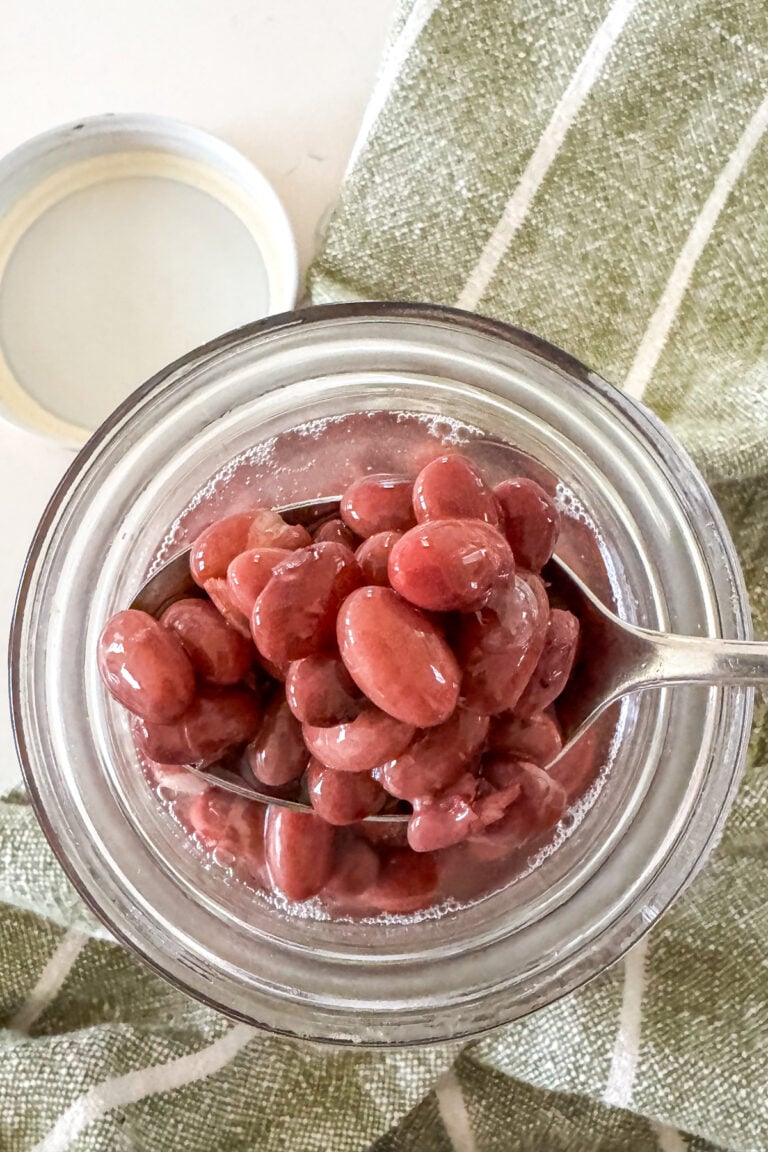 Can You Freeze Cooked Beans? Easy Step-by-Step Guide to Cooking and ...