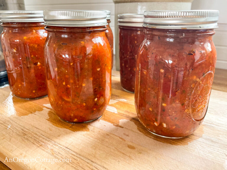 Thick and Smokey Roasted Chipotle Salsa (Can or Freeze) - An Oregon Cottage