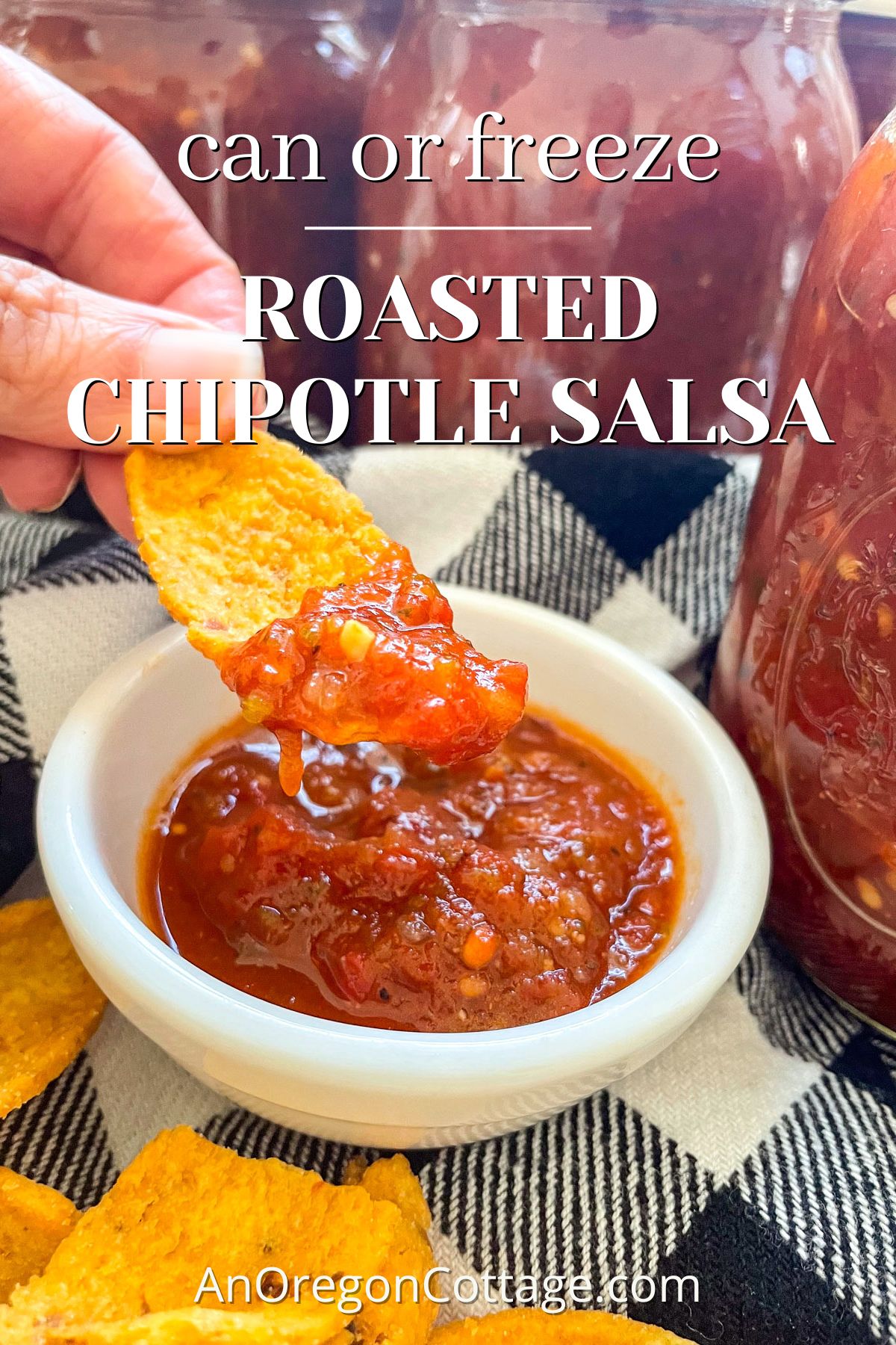 Thick and Smokey Roasted Chipotle Salsa (Can or Freeze) - An Oregon Cottage