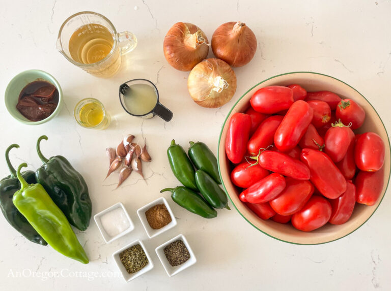 Thick and Smokey Roasted Chipotle Salsa (Can or Freeze) - An Oregon Cottage