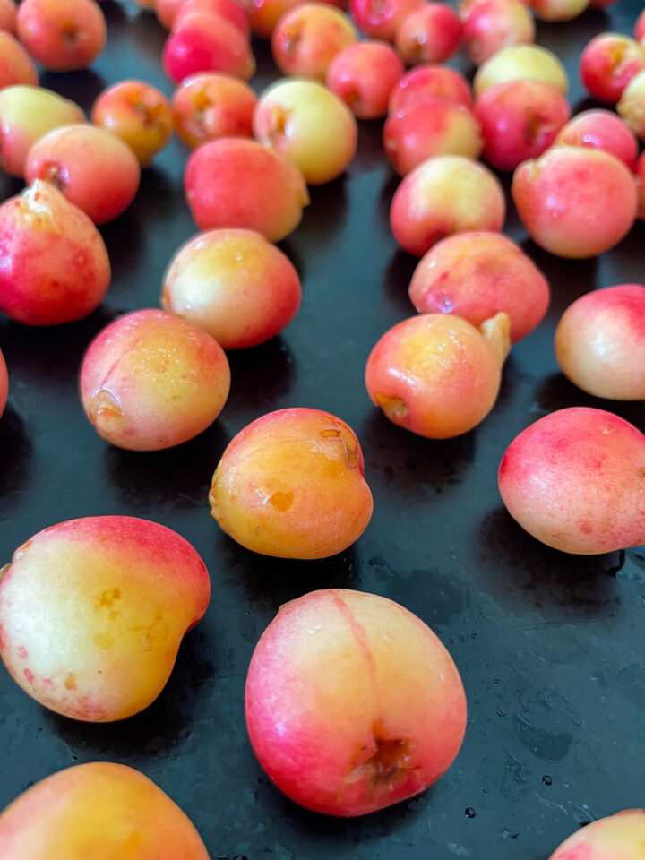 How to Freeze Cherries - and How to Use Them - An Oregon Cottage